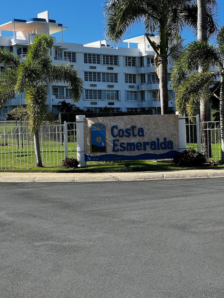 Paradise Garden - Ceiba