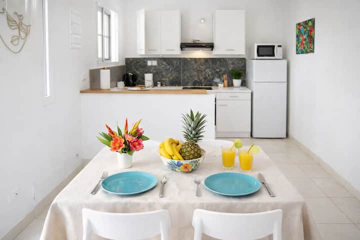 T3 Climatisé Avec Terrasse-proche Plages Du Sud - Martinique