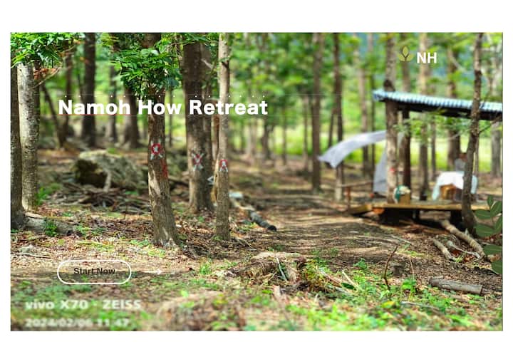 五線延聲・森林小屋 — 讓自己慢下來的地方 - Taitung County