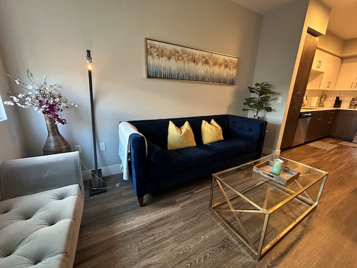 Luxury 1bd Prime Location - Santa Ana, CA