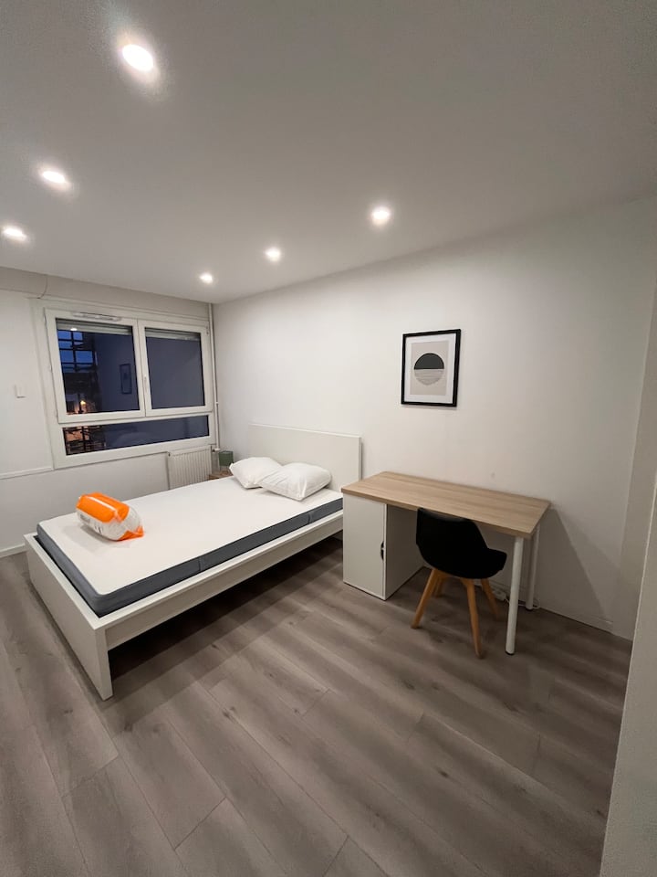 Colocation Appartement 4 Chambres - Annecy