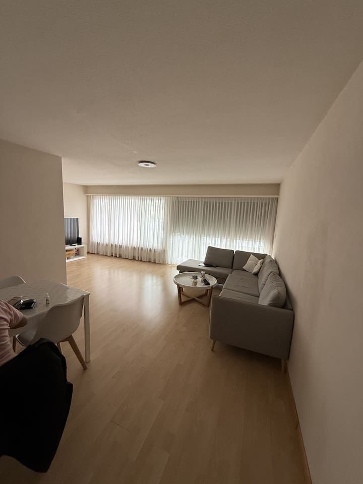 Grosse 4.5 Zimmer Wohnung Nahe Baden & Zürich - Canton d'Argovie