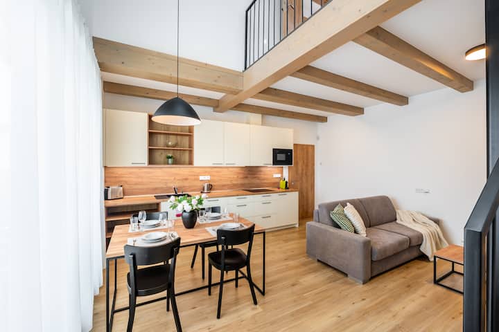 Deluxe Apartmán D - Olomouc