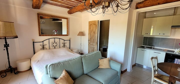 Studio Climatisé 3* - Lit King-size - Plein Centre - La Garde-Freinet