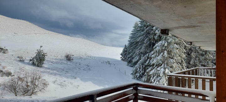 Appartement Avec Très Belle Vue Sur La 
Montagne - Lac Pavin