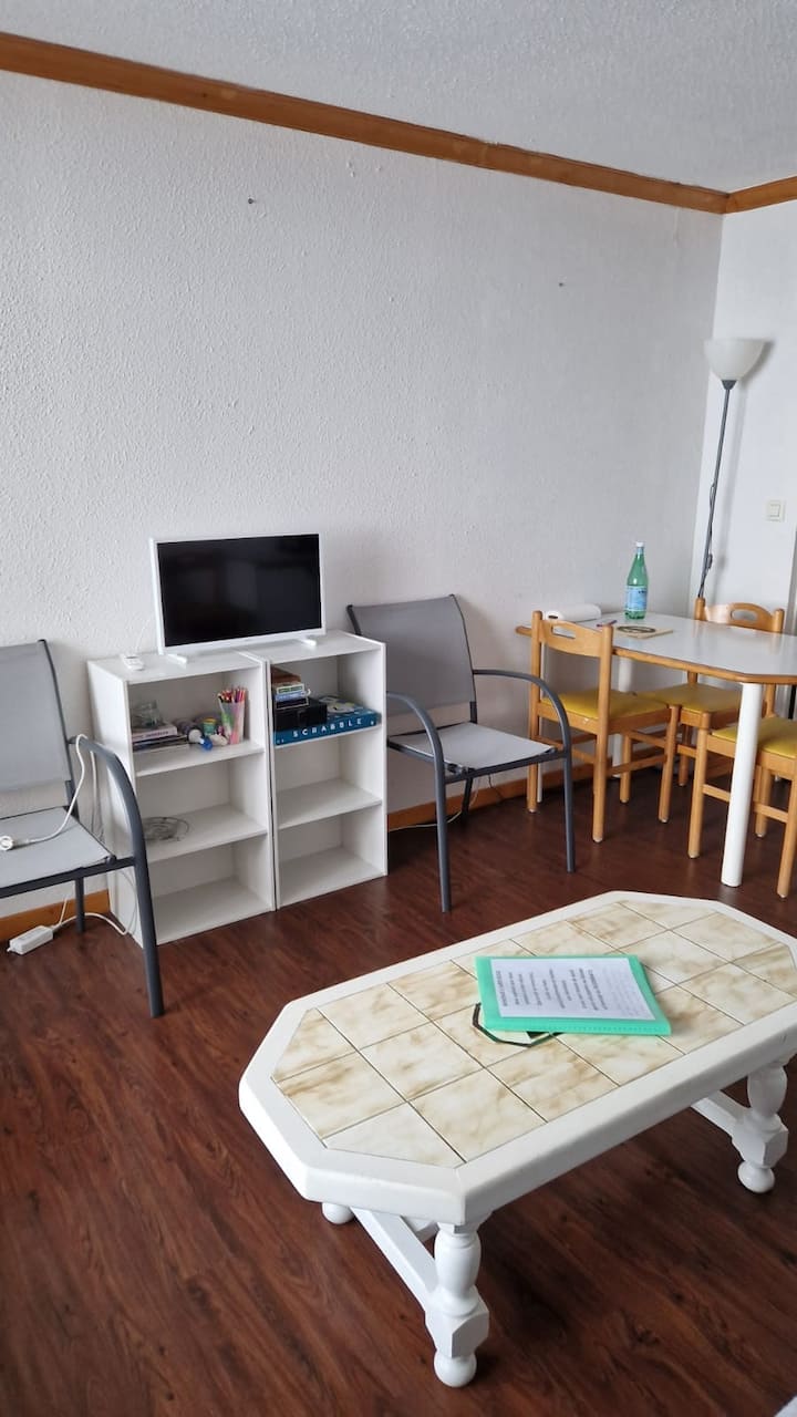 Appartement Avec Très Belle Vue Sur La 
Montagne - Lac des Hermines