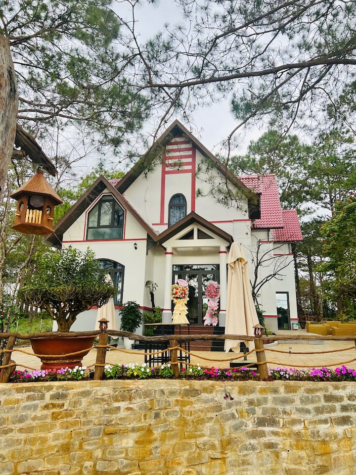 Nguyên Căn Villa Dưới Tán Thông - Tiêu Chuẩn 10nl - Quang Ngai