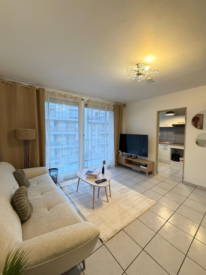 Le Petit Cocon De Bron - Groupama Stadium - OL