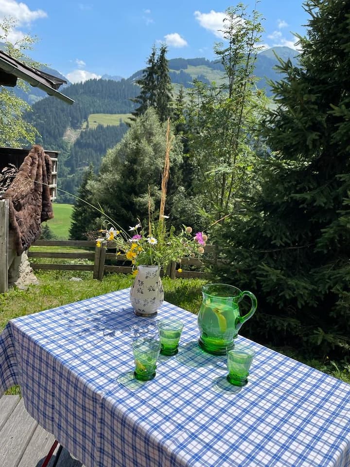 Almchalet In Alleinlage Nahe Kitzbühl Für 6 - Pass Thurn