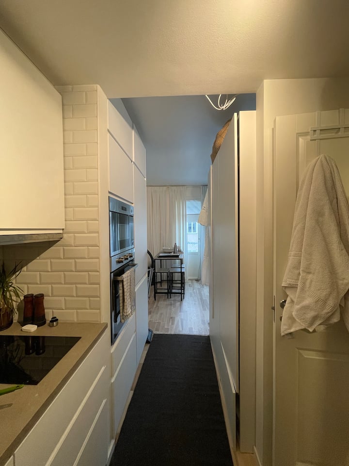 1,5 Bedroom Apartment - Stockholm