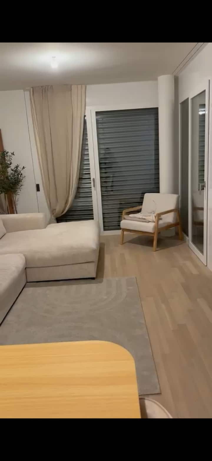 Appartement Deux Pièces Et Demi - Renens