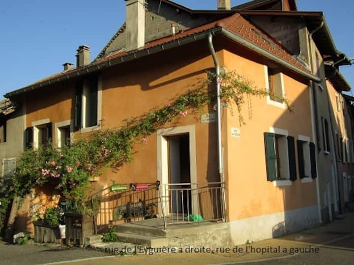 Gentiane Au Centre Du Village De Chorges - Chorges