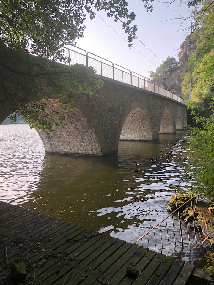 Chalet Contemporain Au Bord De L’eau - Saint-Just-Saint-Rambert