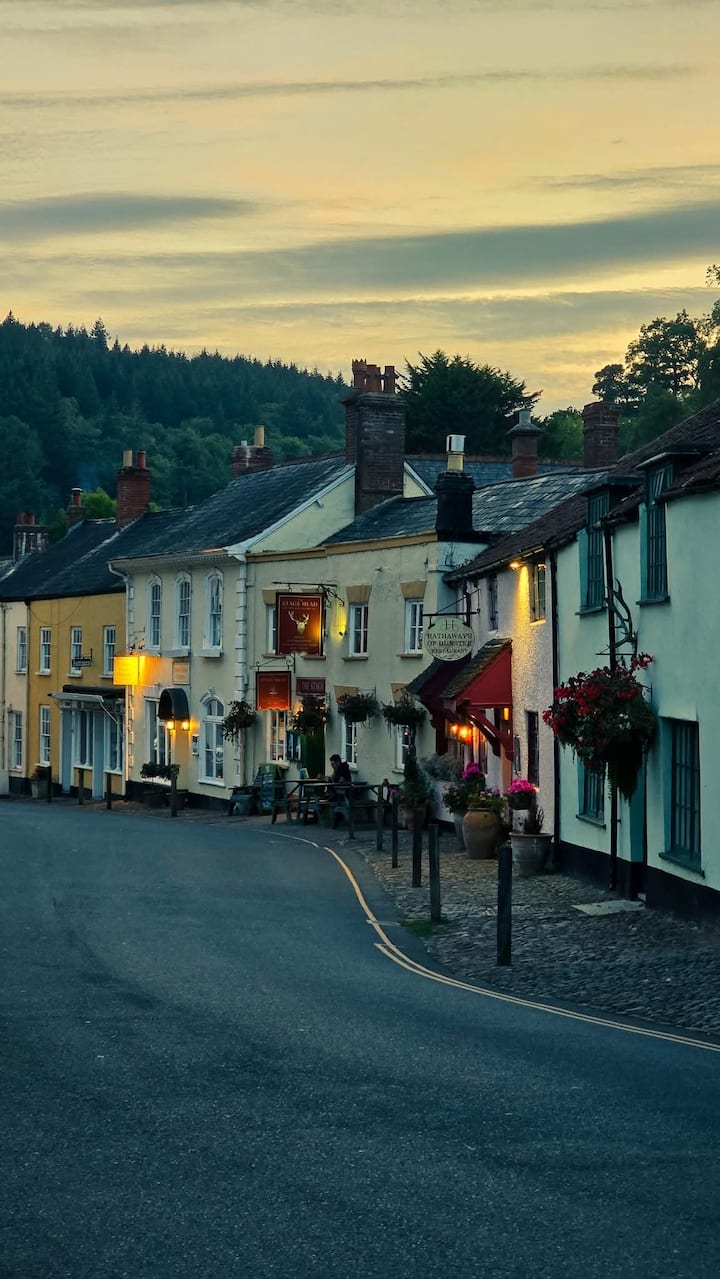 Dunster Hearth - Minehead