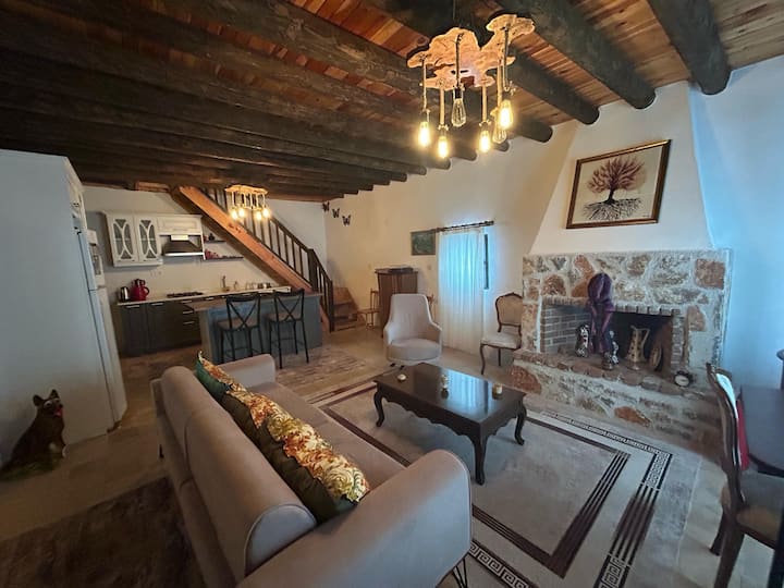 ÖZel Isıtmalı Havuzlu Villa Aden Köy Evi - Kocaeli