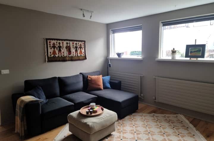 Central Flat, Private Entrance, Patio & Parking - Reykjavík