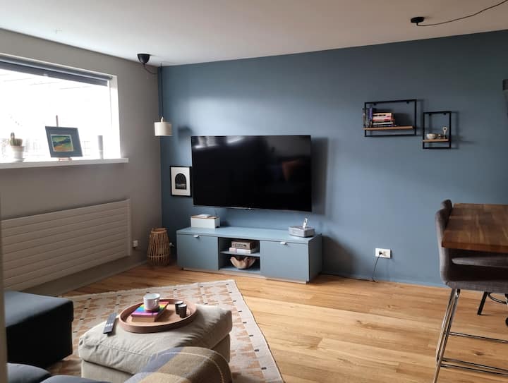 Central Flat, Private Entrance, Patio & Parking - Reykjavik