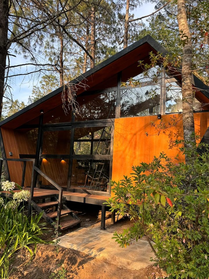 Amanece En La Naturaleza - México