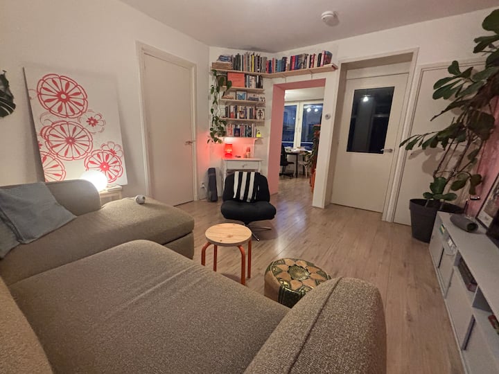 Cute A’dam (Zeeburg) - Amsterdam