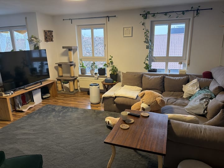 Wohnung Untervermietung Im Zentrum Mit Katze - Heilbronn