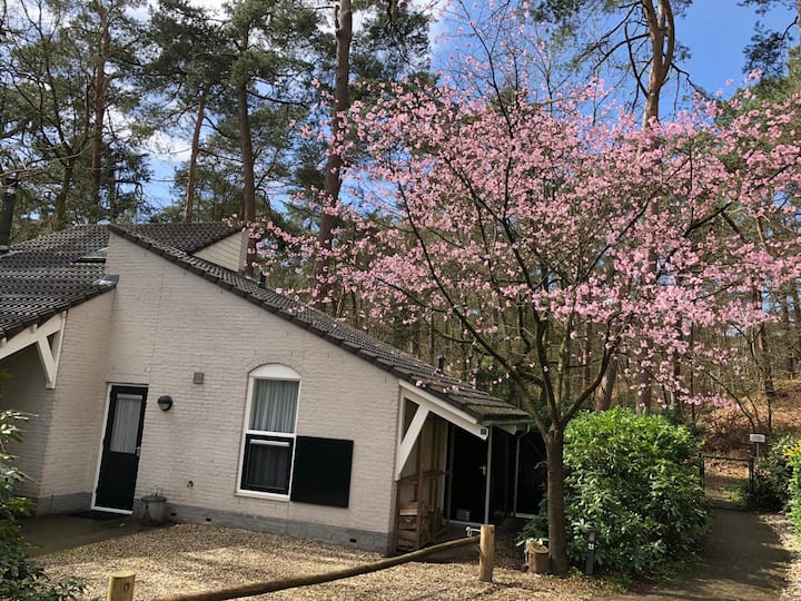 Boshuisje 34 - Nunspeet