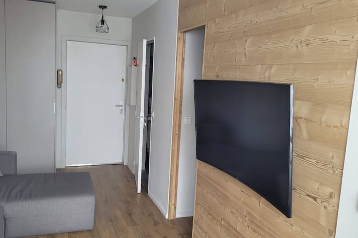 Grand Studio Lumineux, Entièrement Rénové - Roubion