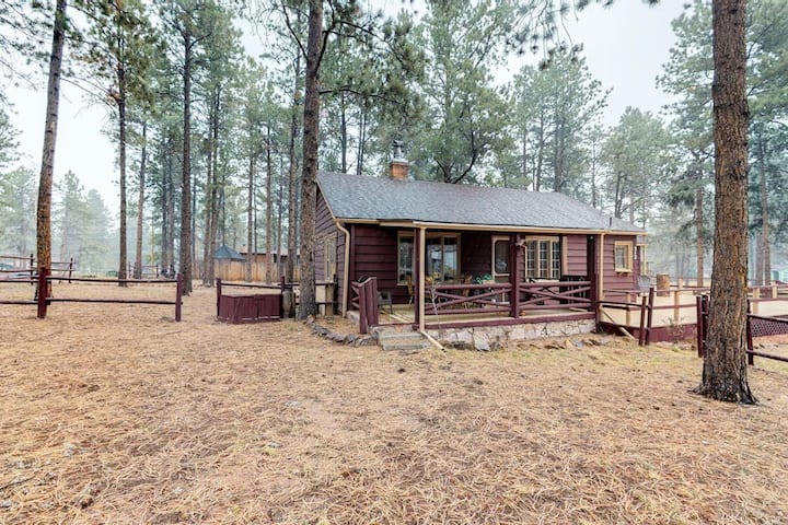 Dog-friendly Cabin  Great Location - Woodland Park, CO