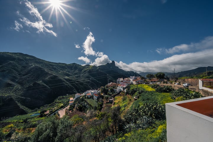 Nature In Tejeda - Tejeda