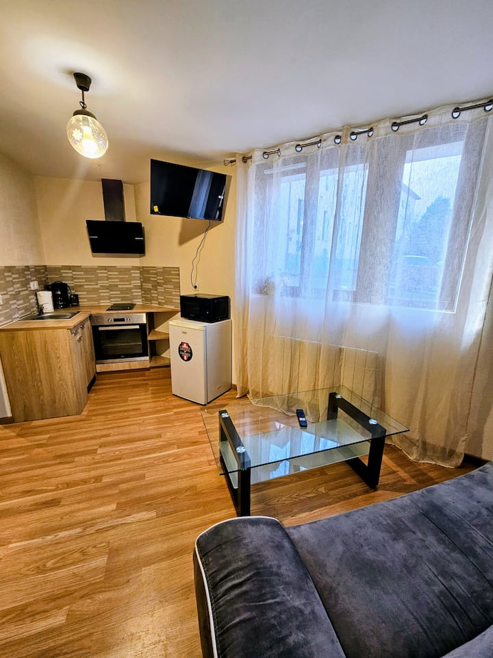 Charmant Studio Entre Lac Et Montagnes - Faverges