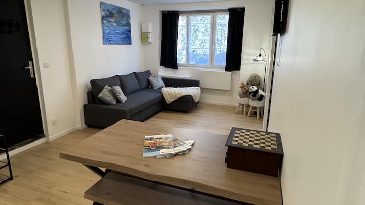 Confort Au Mont-dore •Linge Inclus & Animaux Admis - Murol