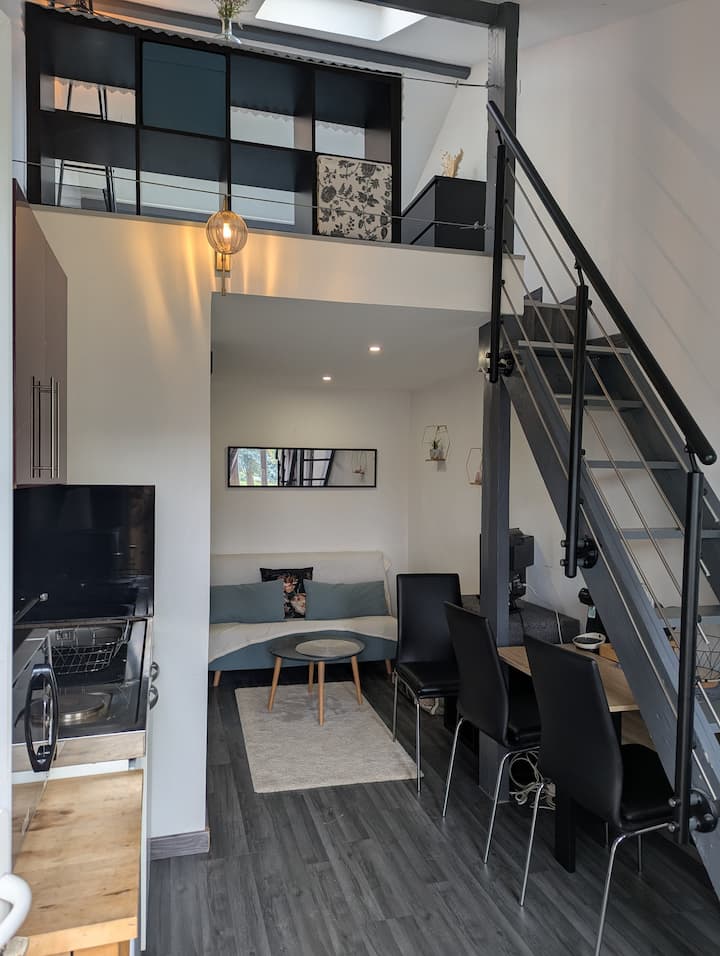 Dépendance Donnant Sur Jardin, Quartier Calme - Reims