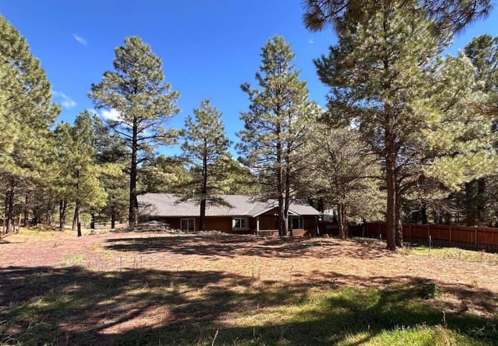 *Cozy* Beech Cabin Getaway, Remodel In Progress! - Flagstaff, AZ