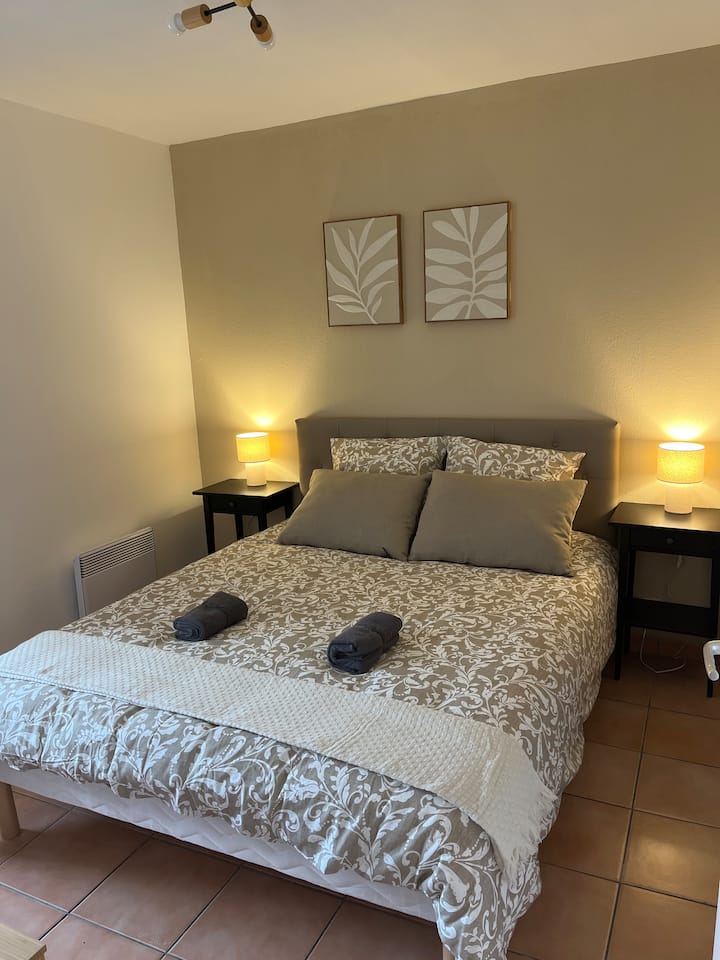 Appart Piscine Sauna A 2 Pas De La Citée Médiéval. - Carcassonne