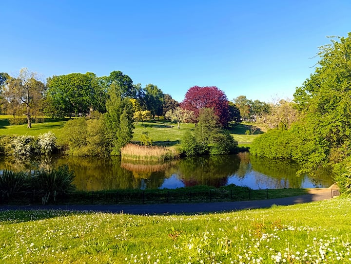 Pheonix Park View - Dublin