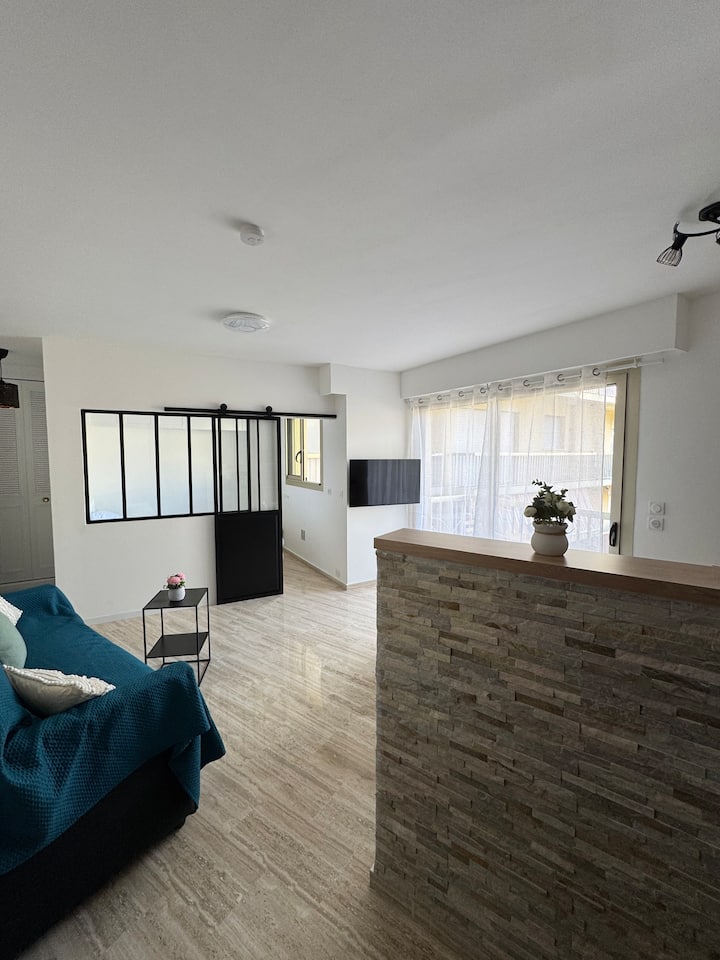 Rénové, 4 Pers, Proche Gares, Plages, Centre Ville - 芒通