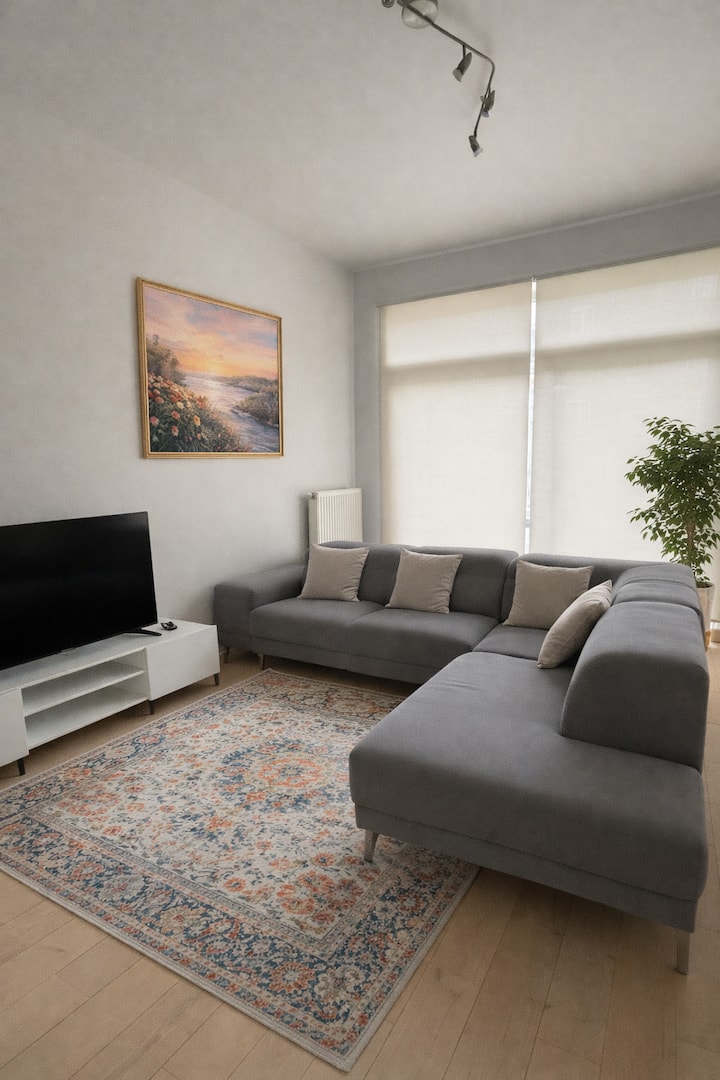 Quiet And Spacious Full Apartment - Etterbeek