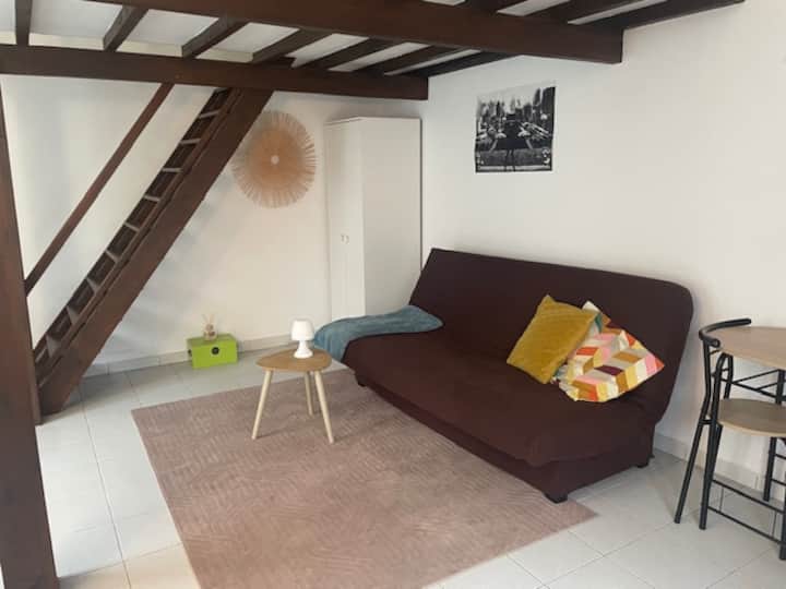 Charmant Petit Studio Proche Rer Champigny - Champigny-sur-Marne