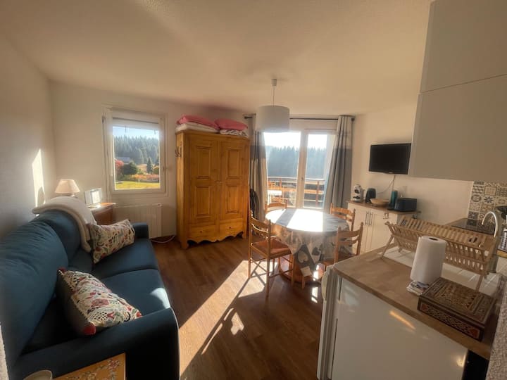 Joli Studio 24m², Praz De Lys, Centre Station - Taninges