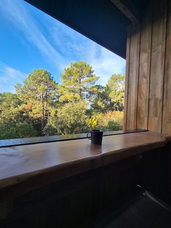 Apparemment T3 De 70m²
A 20m Du Lac. - Maubuisson