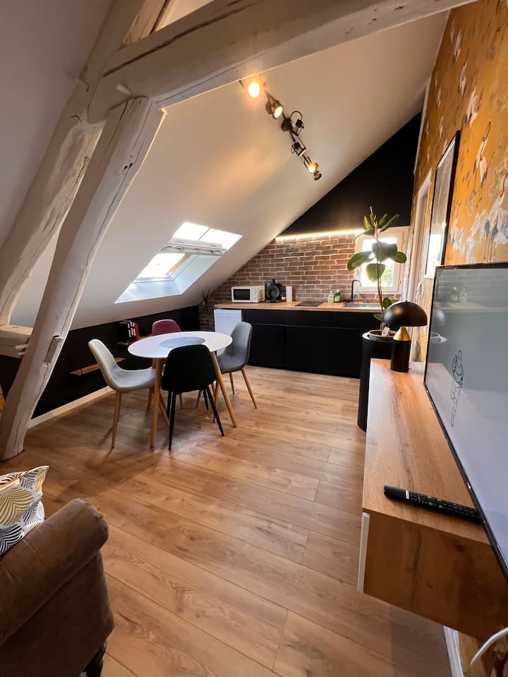 Cocon Sous Les Toits Poutres Apparentes - Ibis budget Troyes Est