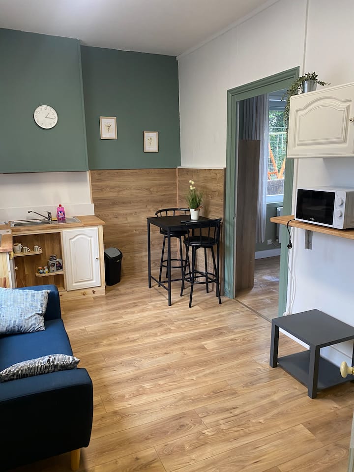 Appartement H Près Universités, Palais Des Congrès - Saint-Étienne