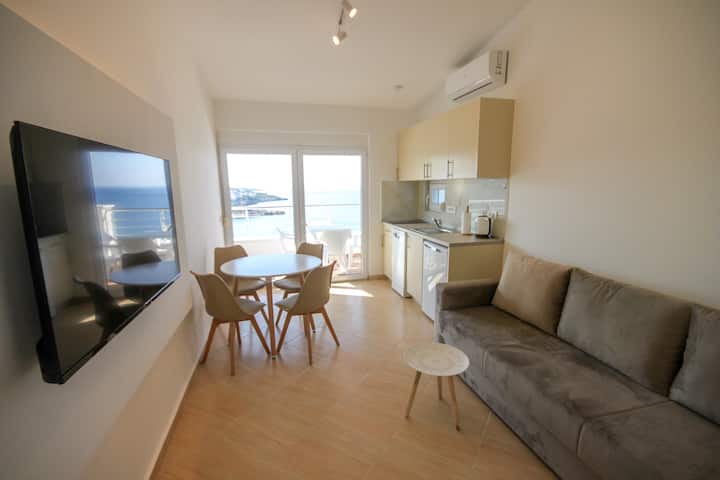 1-bedroom Superior Apt, Private Beach And Pool - Montenegro