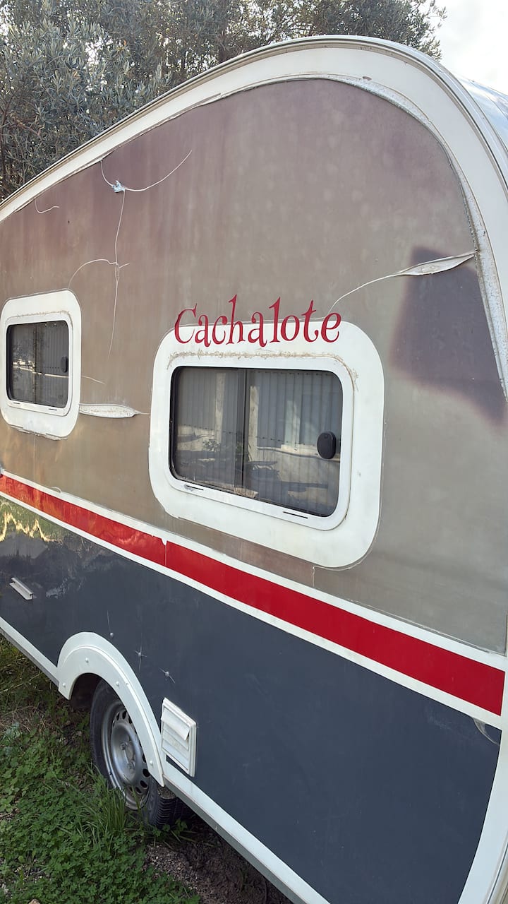 İZmir’in Incisi Mavişehirde  Karavan Keyfi - İzmir Il