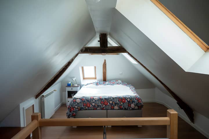 Entre Loire Et Centre-ville – Maison En Tuffeau - Tours