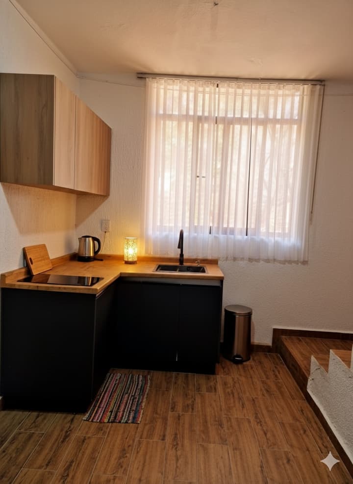 Departamento Céntrico En Moroleón - Mexico