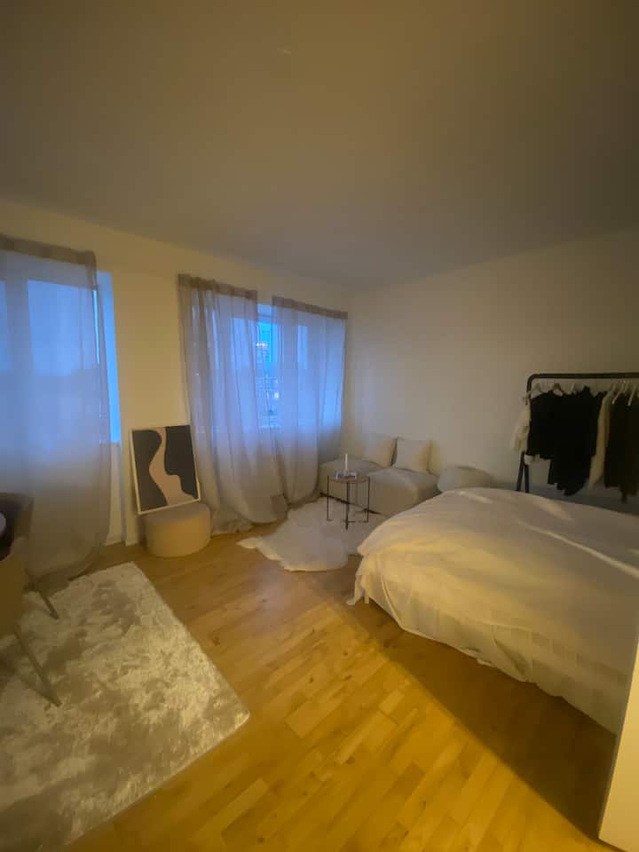 Central Lejlighed I Hjertet Af Aarhus Centrum - Aarhus