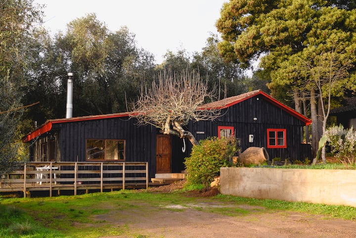 Casa De Campo/ Piscina Y Playa Costa De Pelluhue - Pelluhue