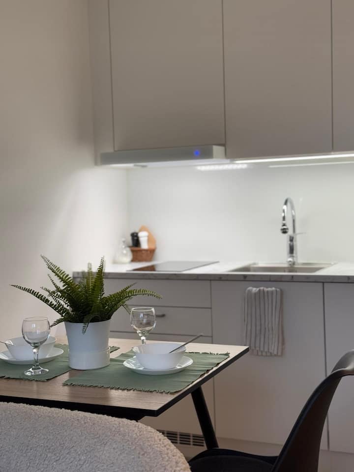 Perfect Pitstop Between Helsinki-vantaa - Vantaa