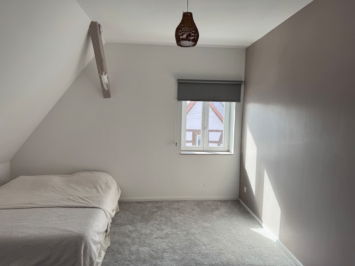 À Saisir Appartement Cuisine, Clim, Terrasse, 65m - Haguenau