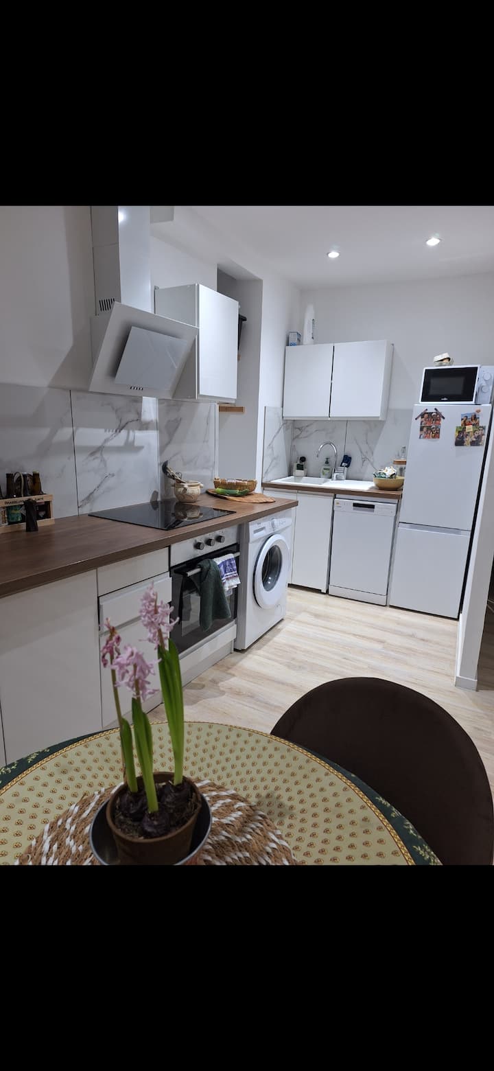 Appartement Au Cœur De Sisteron - Sisteron